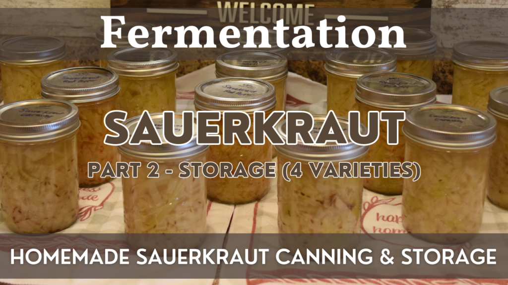 Homemade Sauerkraut Part 2 - Canning | Fermentation Project - The Home ...
