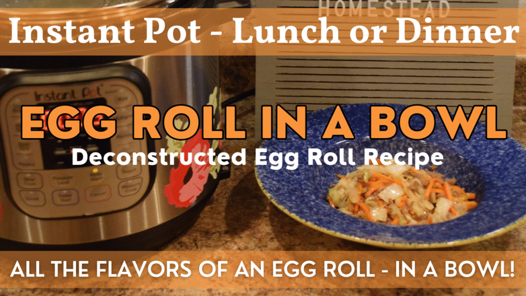 Deconstructed Egg Roll | Egg Roll in a Bowl Recipe - The Home in Homestead